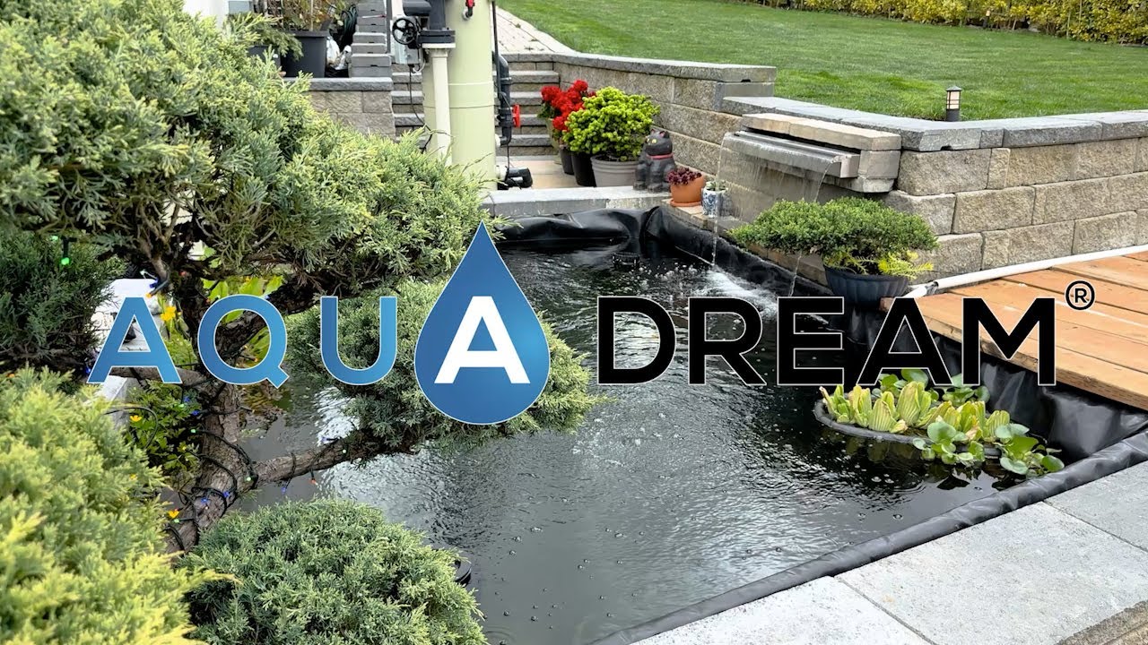 The Secret to a Perfect Koi Pond! - YouTube