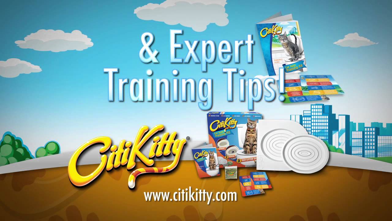 The Patented CitiKitty Cat Toilet Training Kit - YouTube