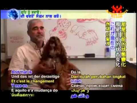 Dr. Peter Ward on Mass Extinction and Global Warming - YouTube