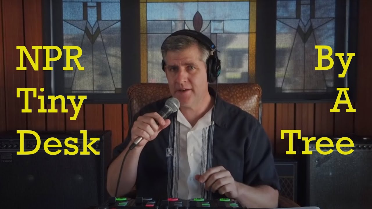 By a Tree // tiny desk // Mister Tim - YouTube