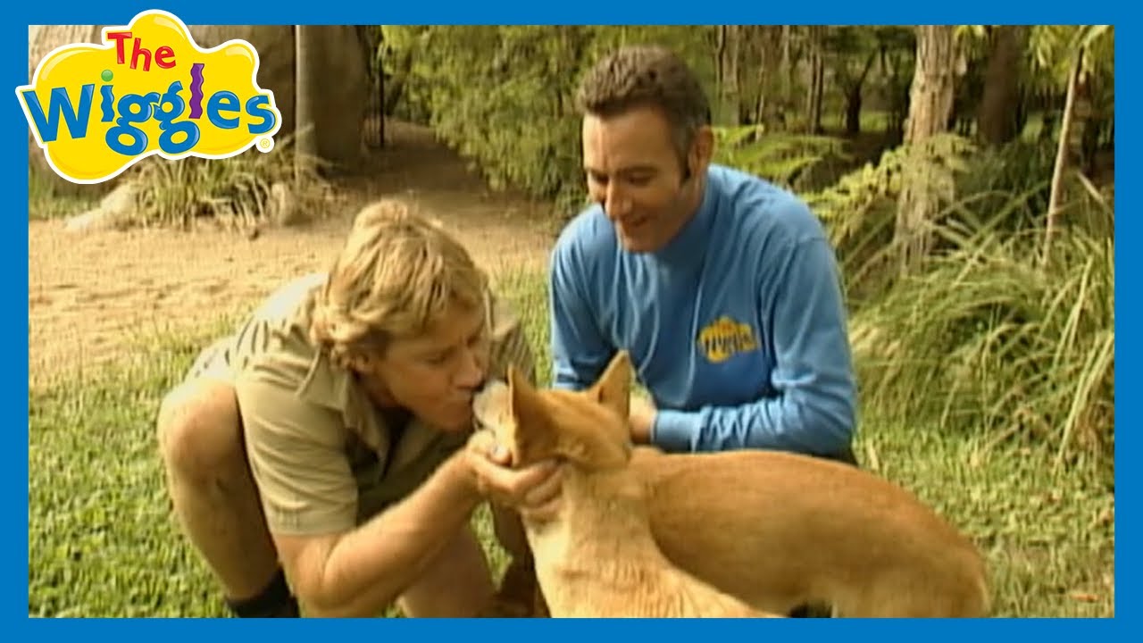 Little Dingo (Dingo Tango) 🐕 The Wiggles & Steve Irwin #OGWiggles ...