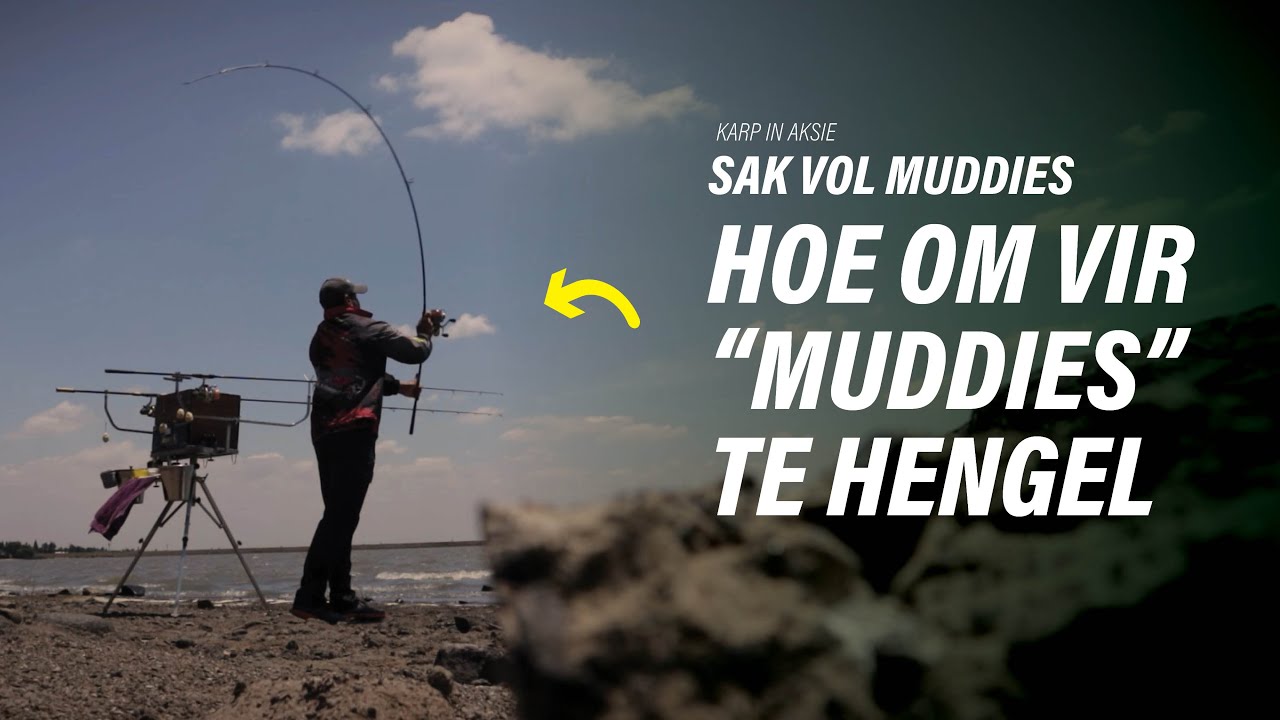 Hengel vir "Muddies" - YouTube