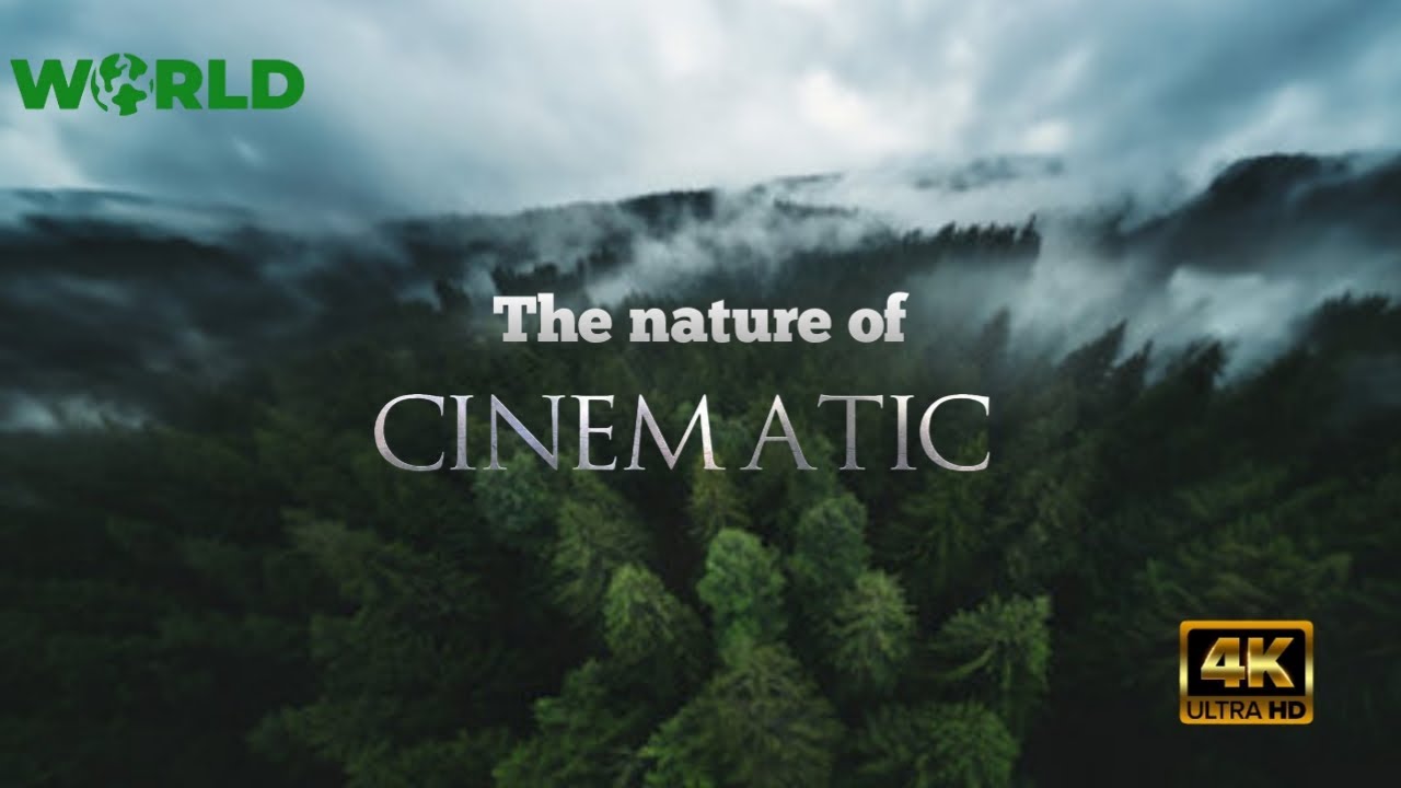 The Nature of Cinematic in World || 4K Video || - YouTube