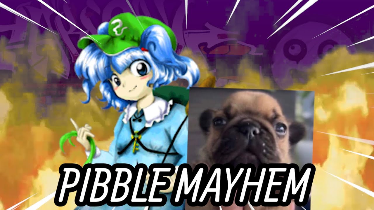 Nothing Can DESCRIBE The ABOMINATION Known As PIBBLE MAYHEM - (Dumb ...