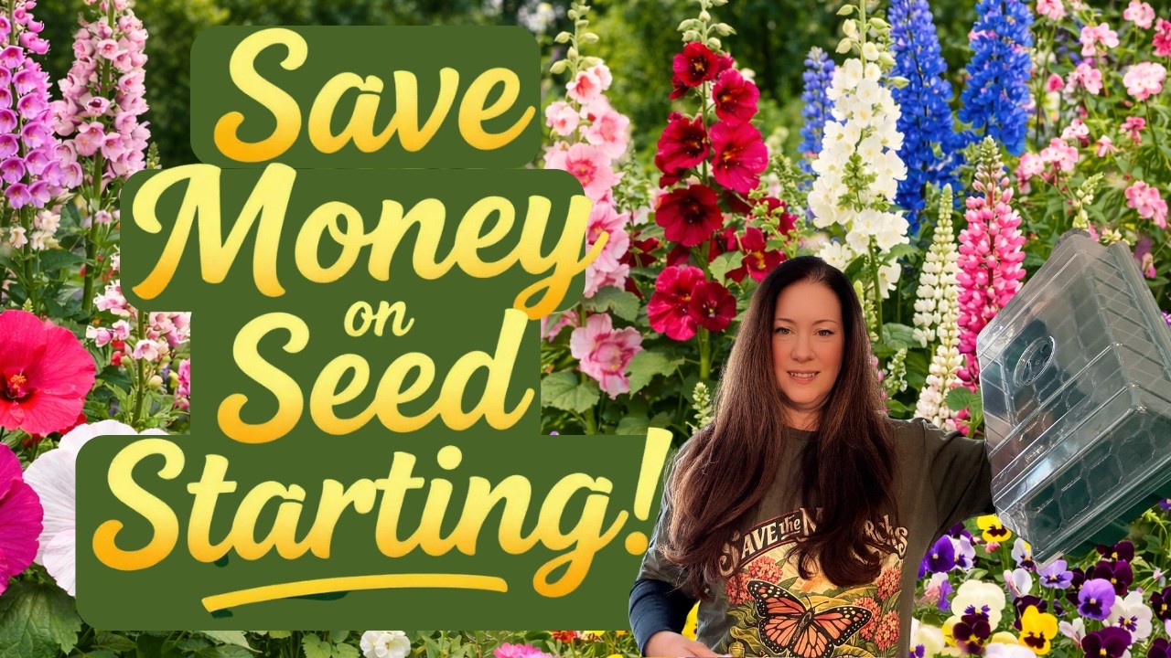 Stop Overpaying for Seed Starting! Best Budget Seed Starting Setup for ...
