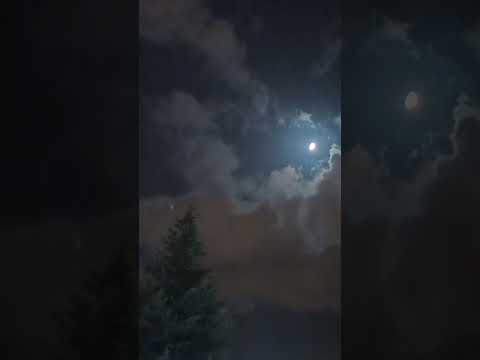 Yeni Limanlara-Ufuk Çalışkan Cover
