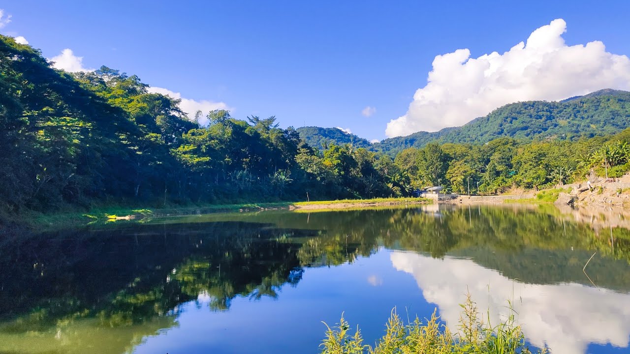 Oh yes Amazing Natures so relaxing - YouTube