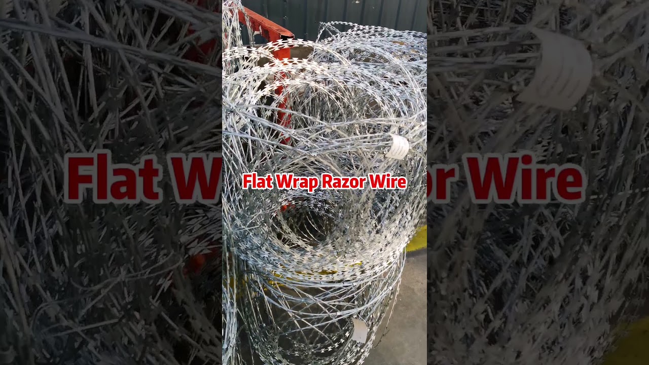 Standard Galvanised Ripper Flat Wrap Razor Wire - YouTube