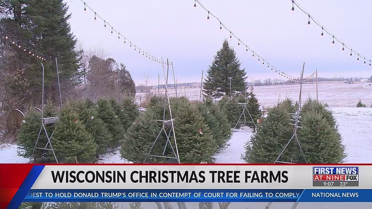 Wisconsin Christmas tree farms - YouTube