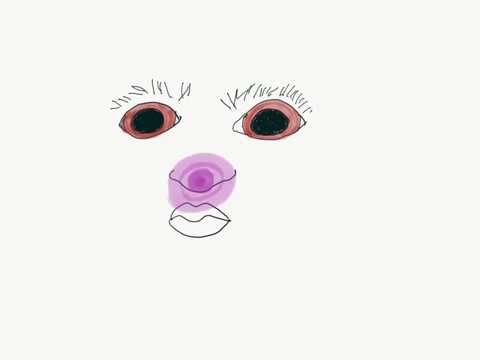 animation mess - YouTube