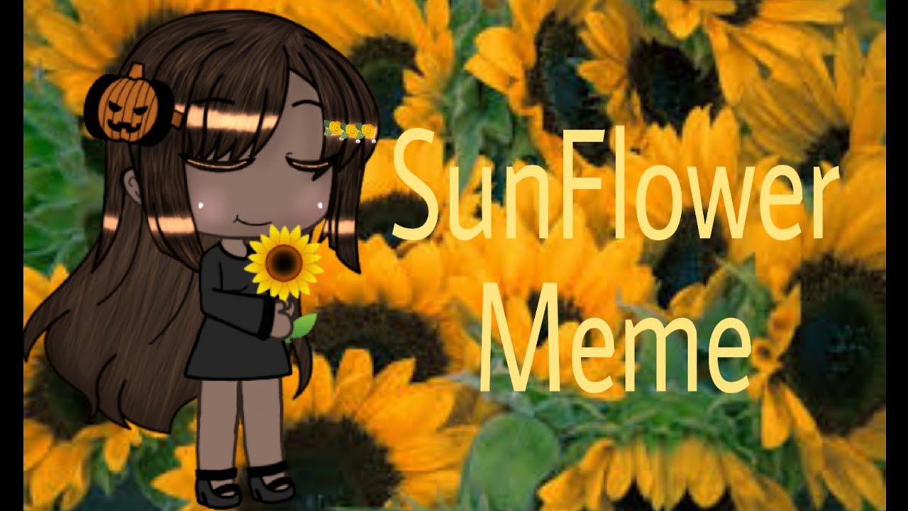Sunflower Meme~ Gacha Life - YouTube