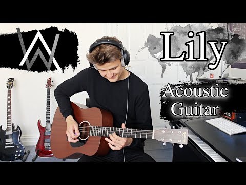 Lily - Acoustic Guitar Cover - Alan Walker