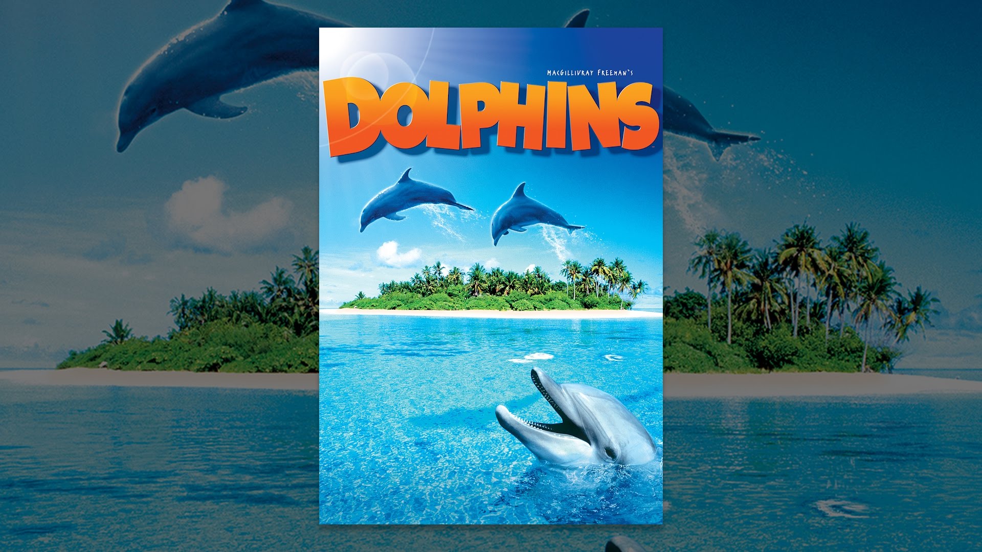 Dolphins - YouTube
