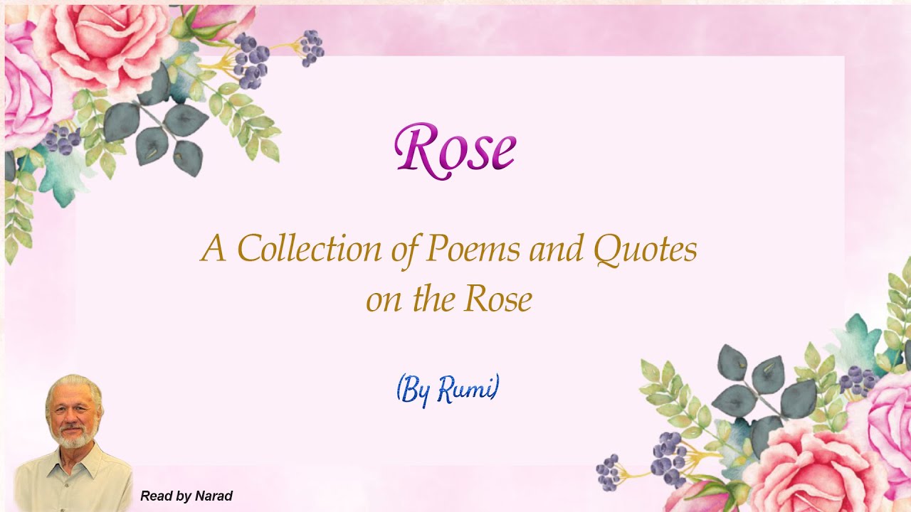 A Collection of Poems and Quotes on the Rose - By Rumi (Read by Narad ...