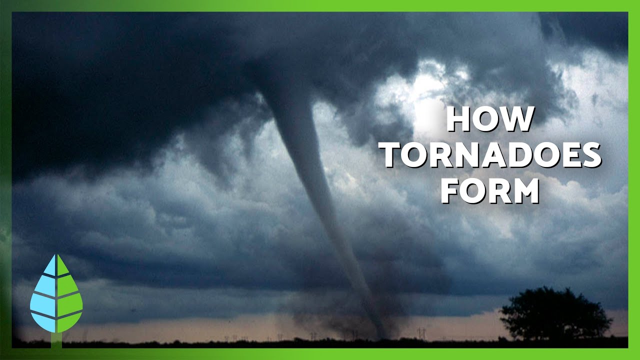 What Causes a Tornado? 🌪️ | Definition, Stages & Survival Tips - YouTube