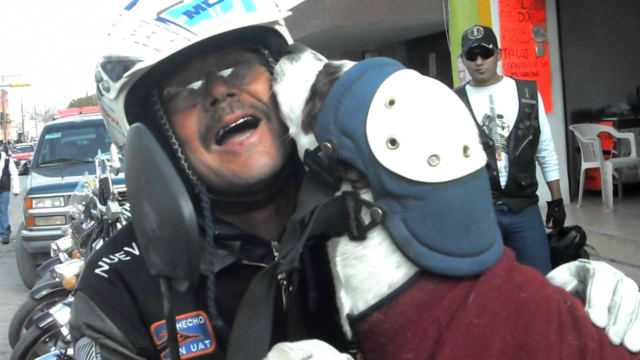 águilas de acero y bebe gua guau - YouTube