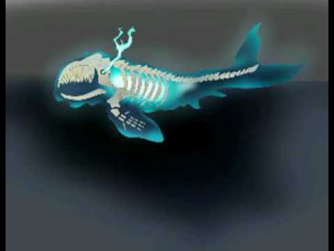 Sound Effects of Bake Kujira (Ghost Whale) - YouTube