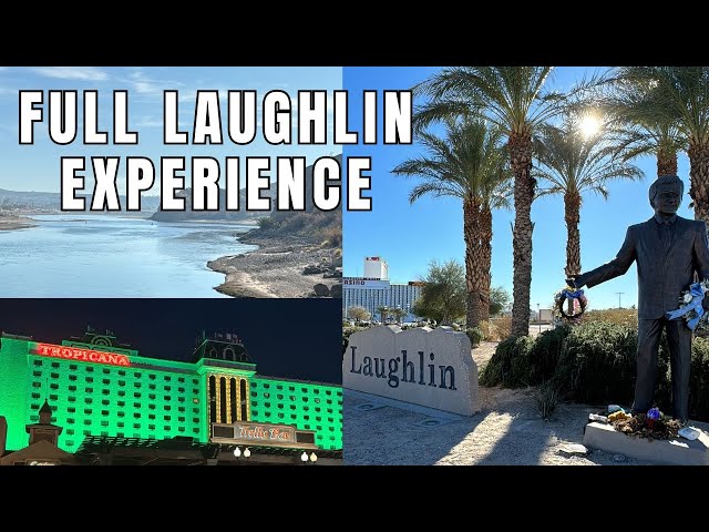 Laughlin Memes Vintage Biker Wolf & HARLEY DAVIDSON Laughlin Nevada T