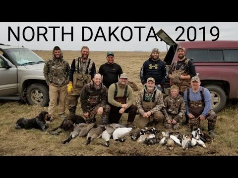 North Dakota waterfowl trip-2019 - YouTube