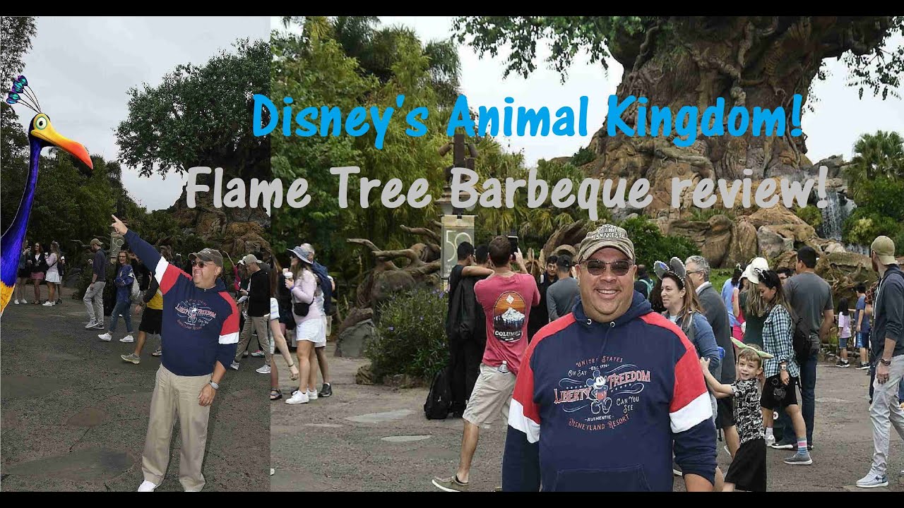 Disney's Animal Kingdom! Flame Tree Barbeque Review! Flight of Passage ...
