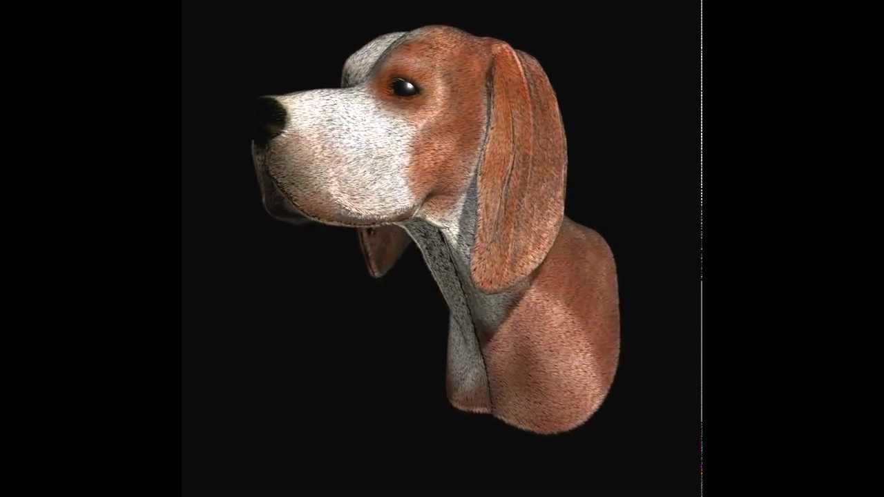 Maya Fur Effects Render Test - YouTube