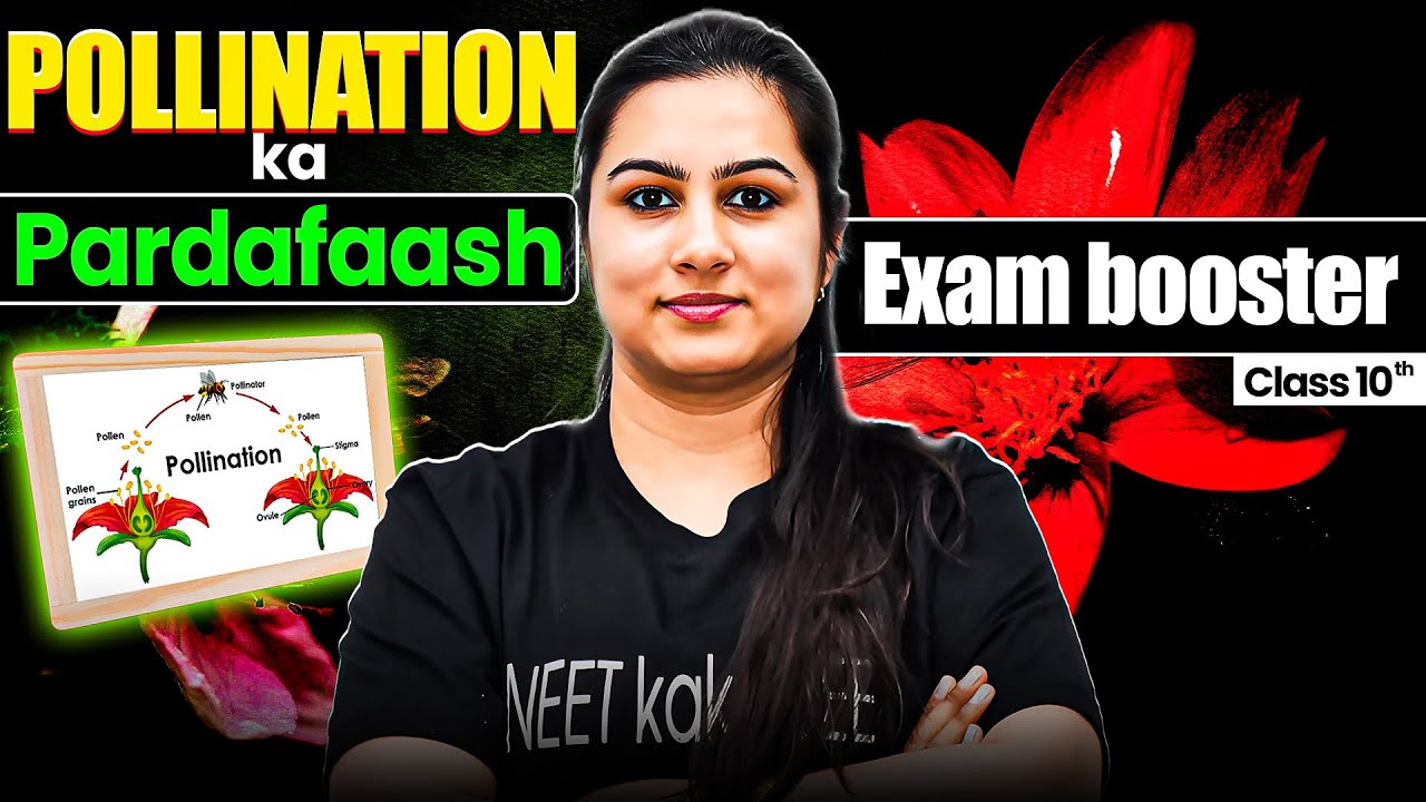 From Flower to Fruit 🌿 | Pollination Explained in One Go || Bilology ...
