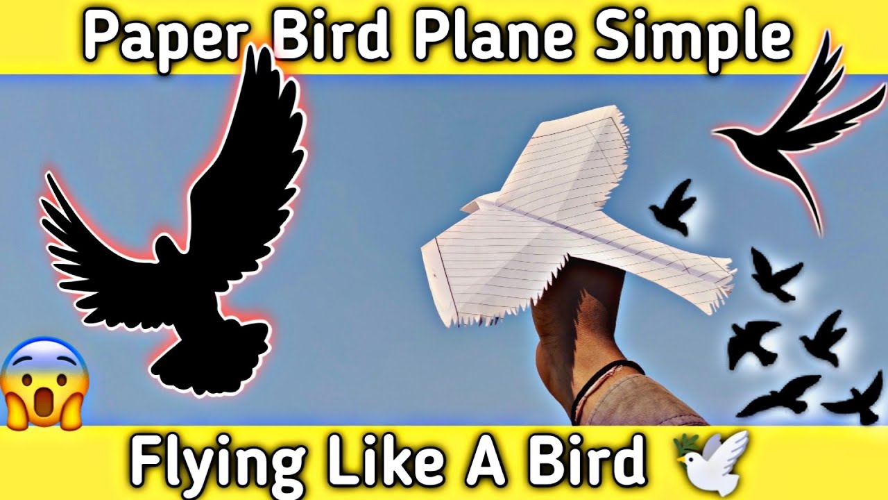 How To Make A Simple Bird Plane At Home...😱#howtomake - YouTube
