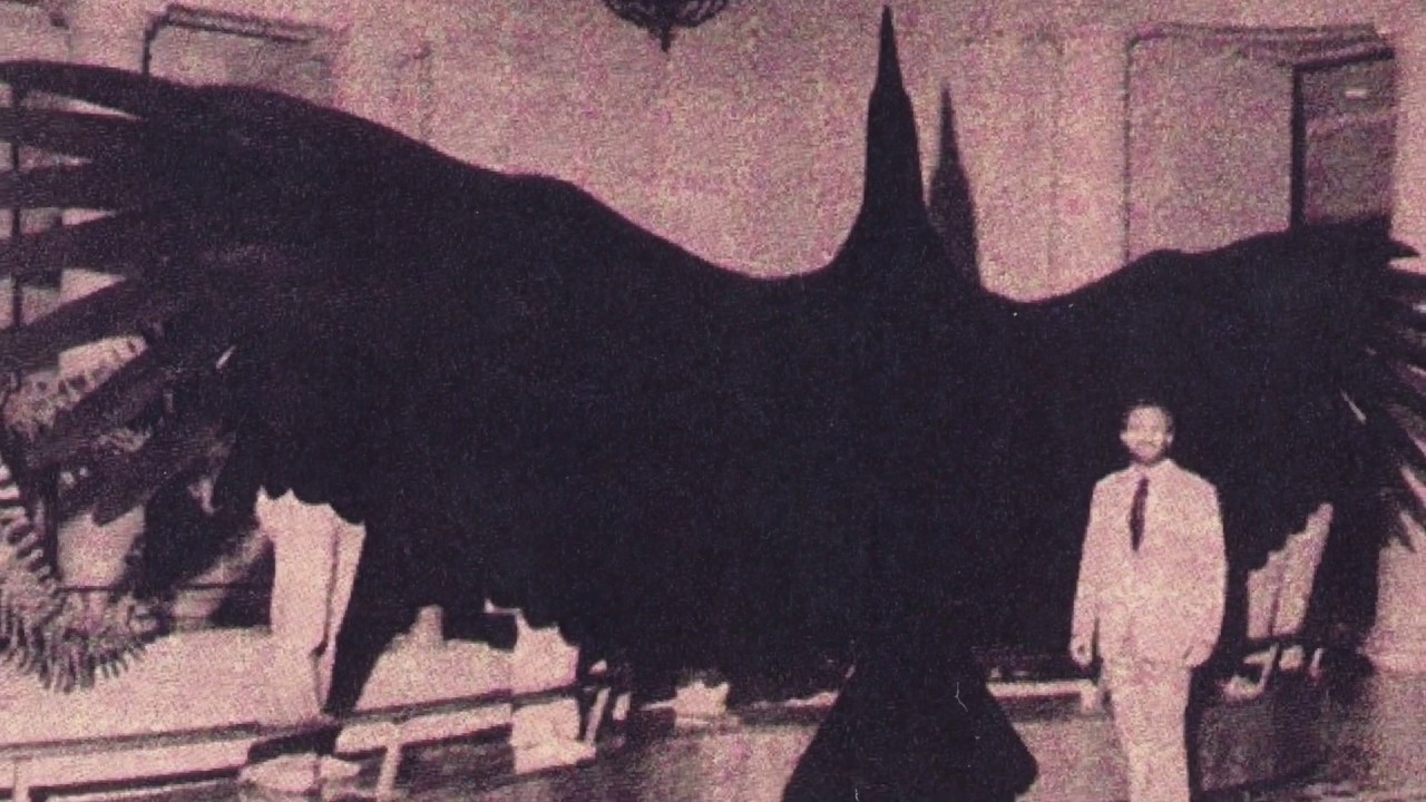 Cryptid Thunderbirds Explained! - YouTube