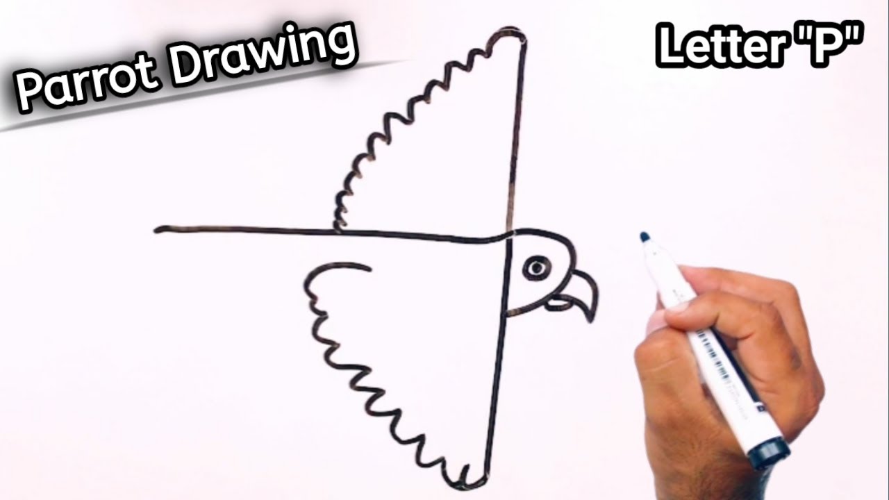 How to draw a Parrot From Letter "P" || Step by step drawing by ...