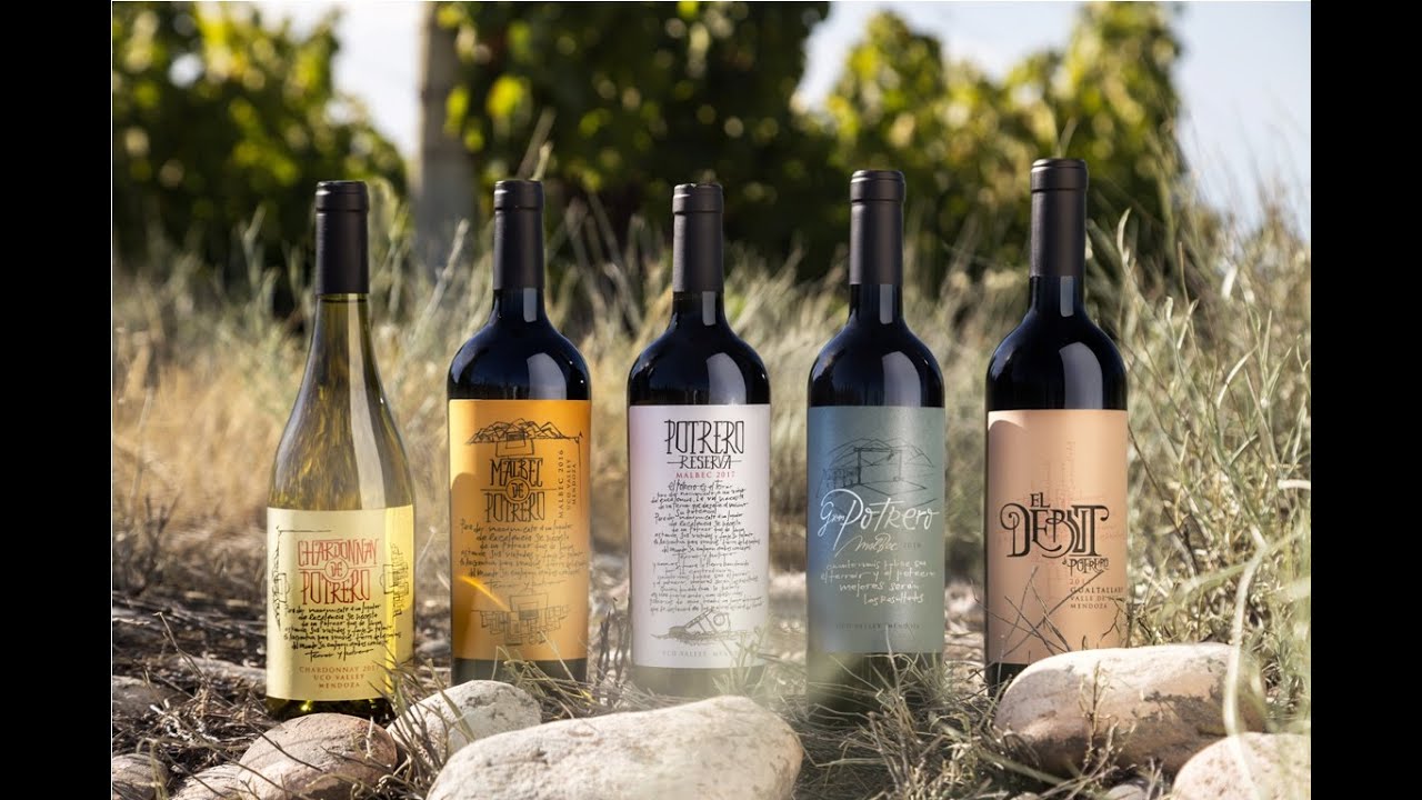 Bernardo Bossi: "El consumidor hila cada vez más fino pero hay muchos ...