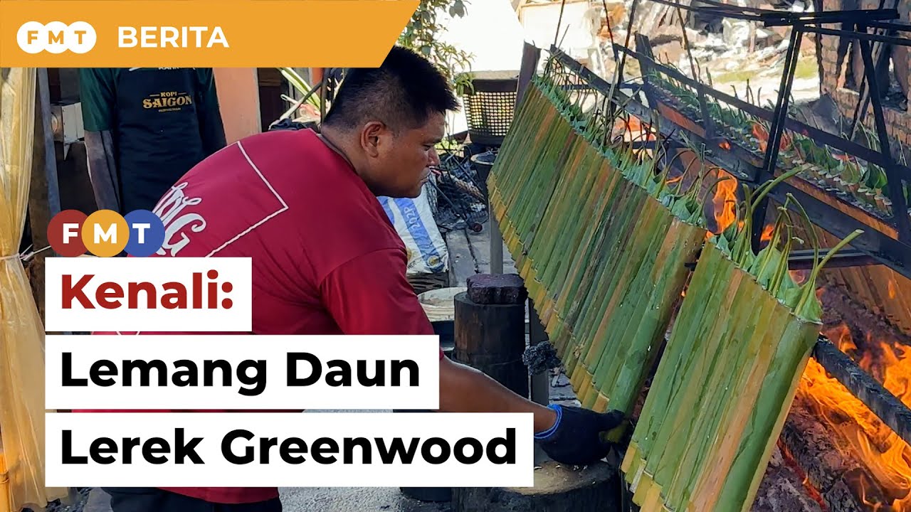 Kenali: Lemang Daun Lerek Greenwood - YouTube