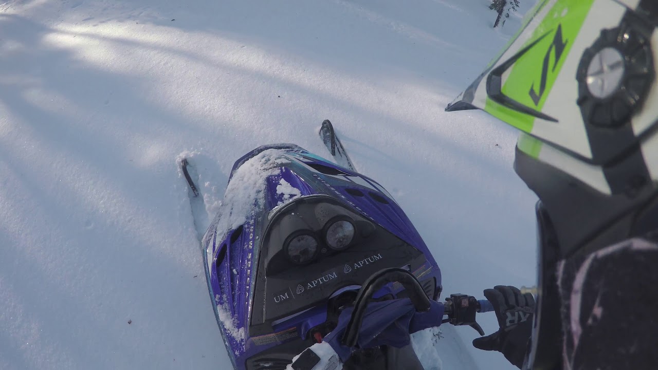 Yamaha Mountain Max 700 Tree Riding Wheelies - YouTube