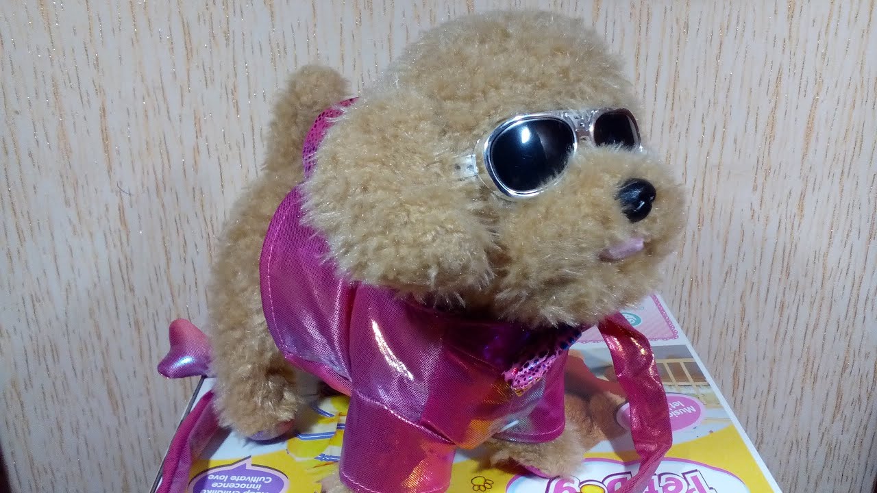 Electric PET DOG - YouTube