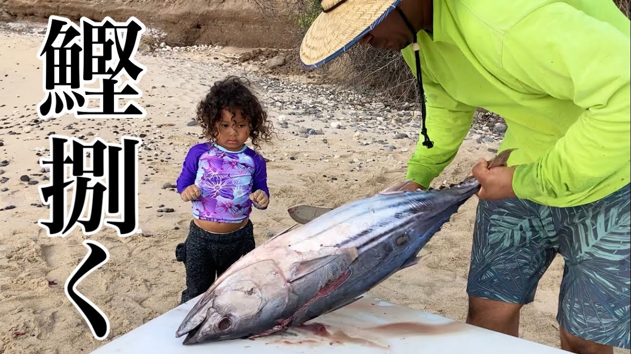 【ハワイ在住一家の日常】ビーチで鰹を捌く Aku hawaii - YouTube