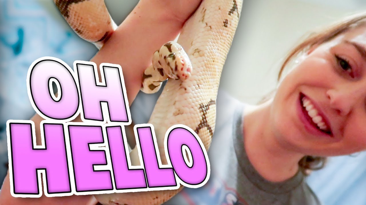 Goofiest Snake Ever! | Family Baby Vlogs - YouTube