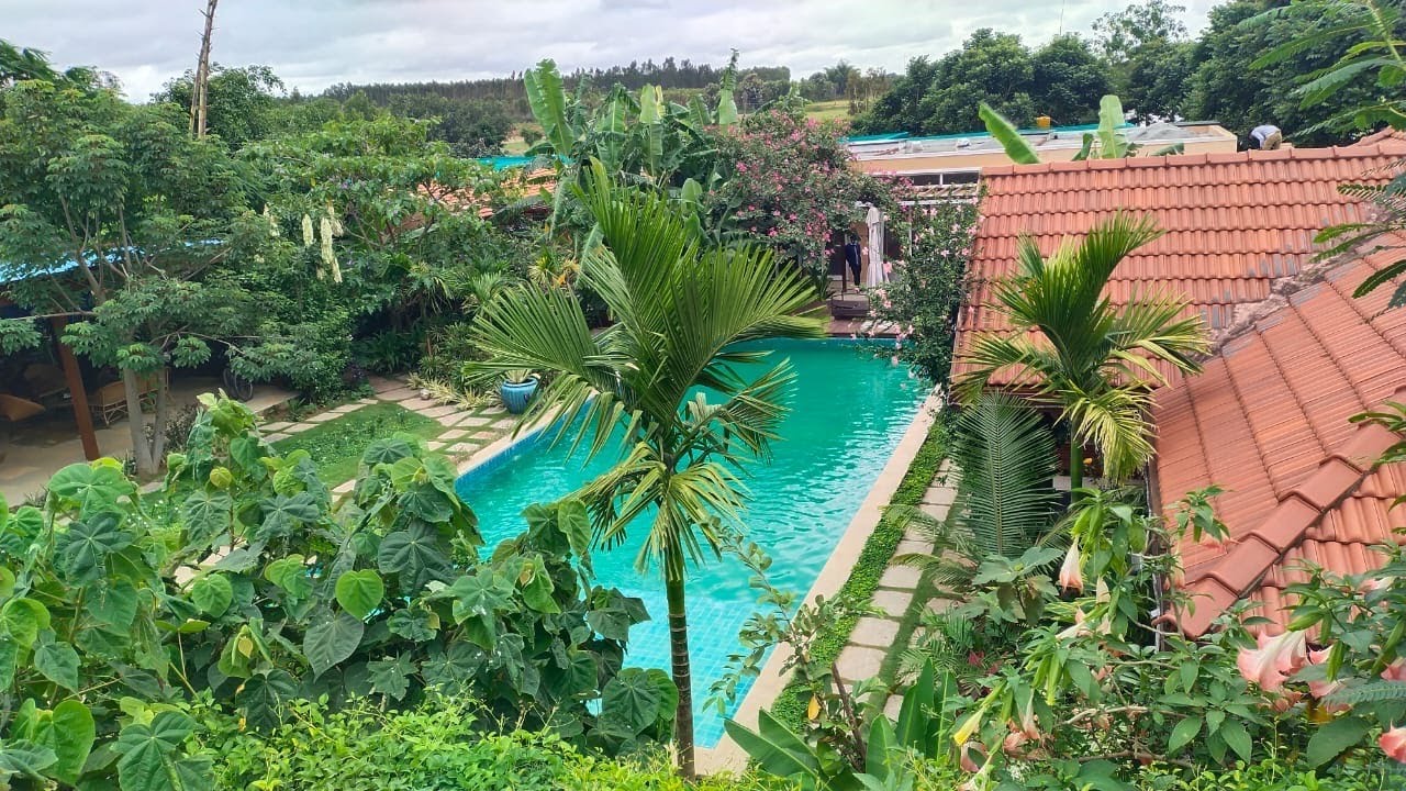 "Soak Up the Sun in Our Ozone Pool - Orchid Tree Wellness Retreat ...