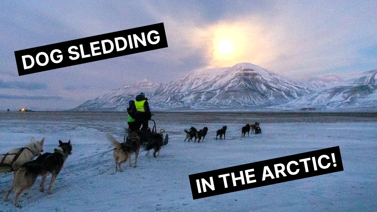 Riding a DOG SLED during the POLAR NIGHT in SVALBARD! - YouTube