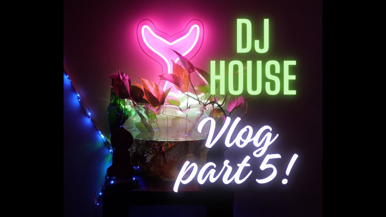 At Home at a DJ House (My home by the way) 🤣 ️‼️ - YouTube