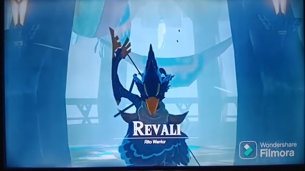 Revali the Rito Warrior | Hyrule Warriors Age of Calamity | 100% 7/ (No ...