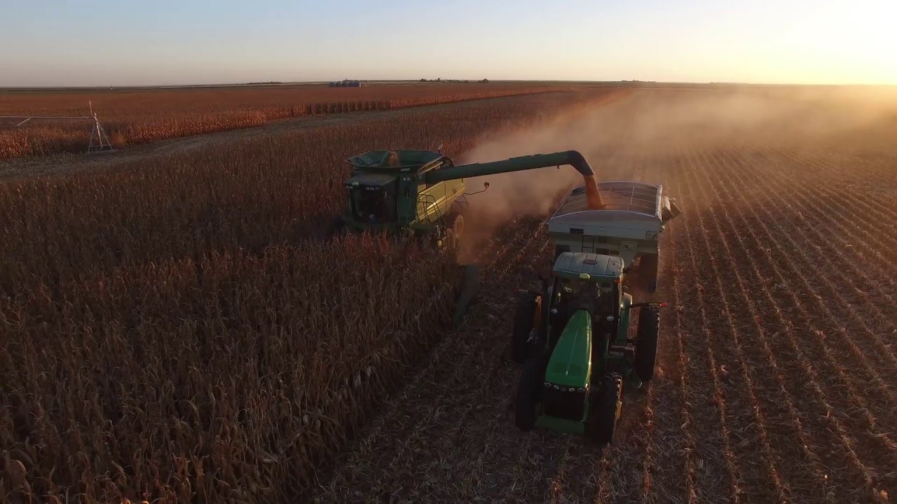 Colorado Corn Harvest 4K - YouTube