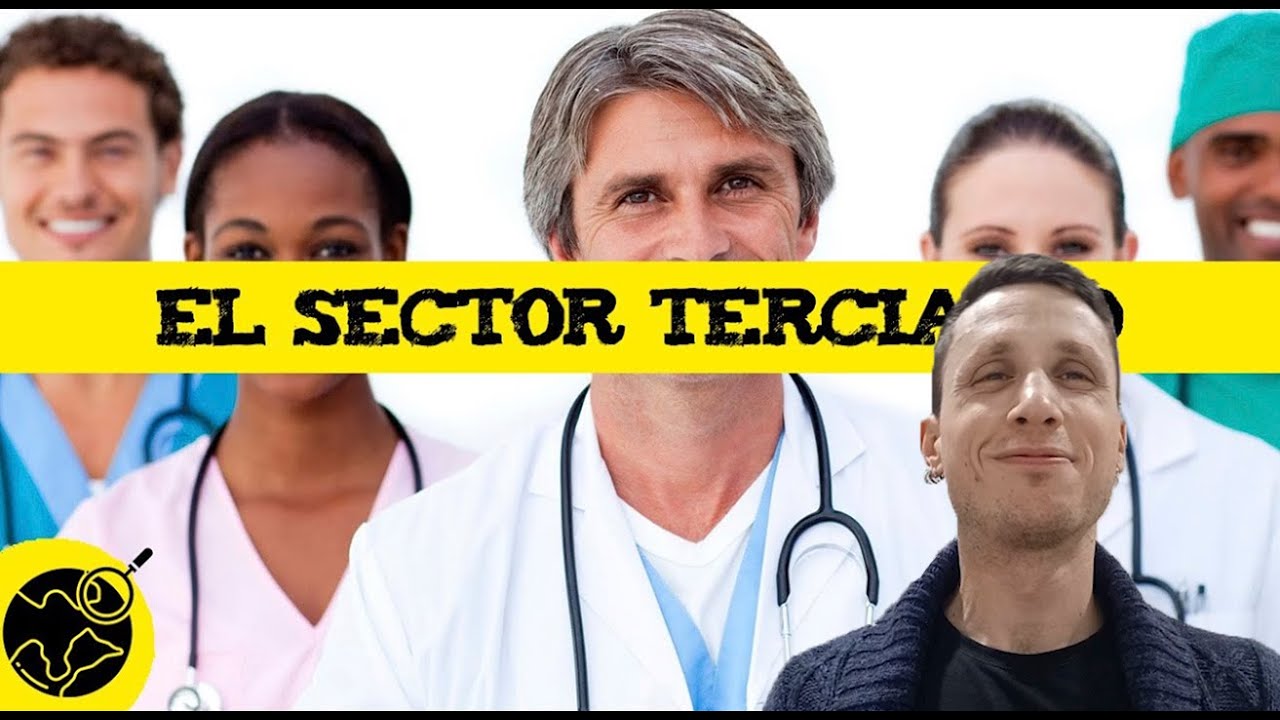 El sector Terciario 🏥 - YouTube
