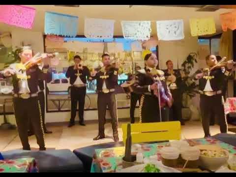 LOS LAURELES Mariachi Nueva Generación De San Francisco CA - YouTube