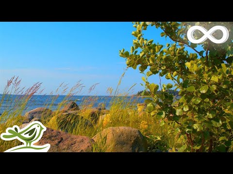 Kesä • Peder B. Helland 'dan Rahatlamak için Güzel Bir Enstrümantal Müzik