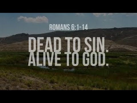 What a great question, shall we continue in sin? - YouTube