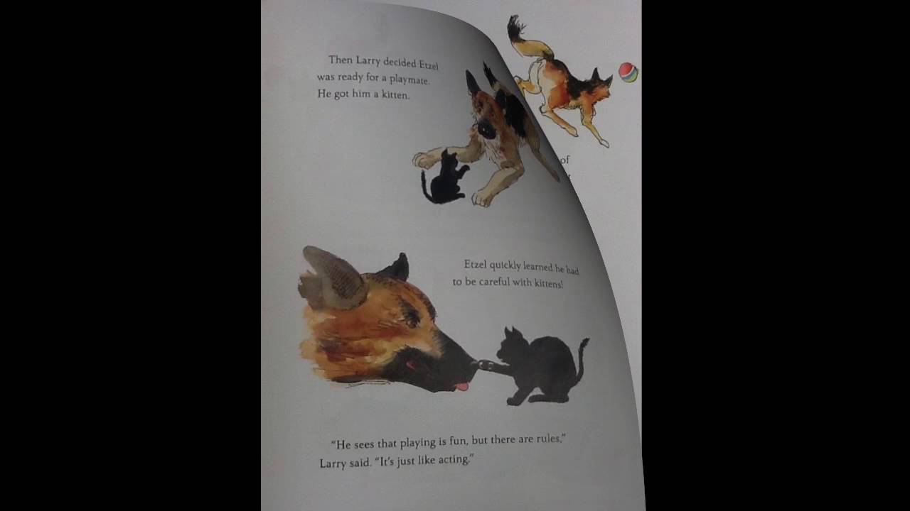 Strongheart The World's First Movie Star Dog, Read by Chance - YouTube