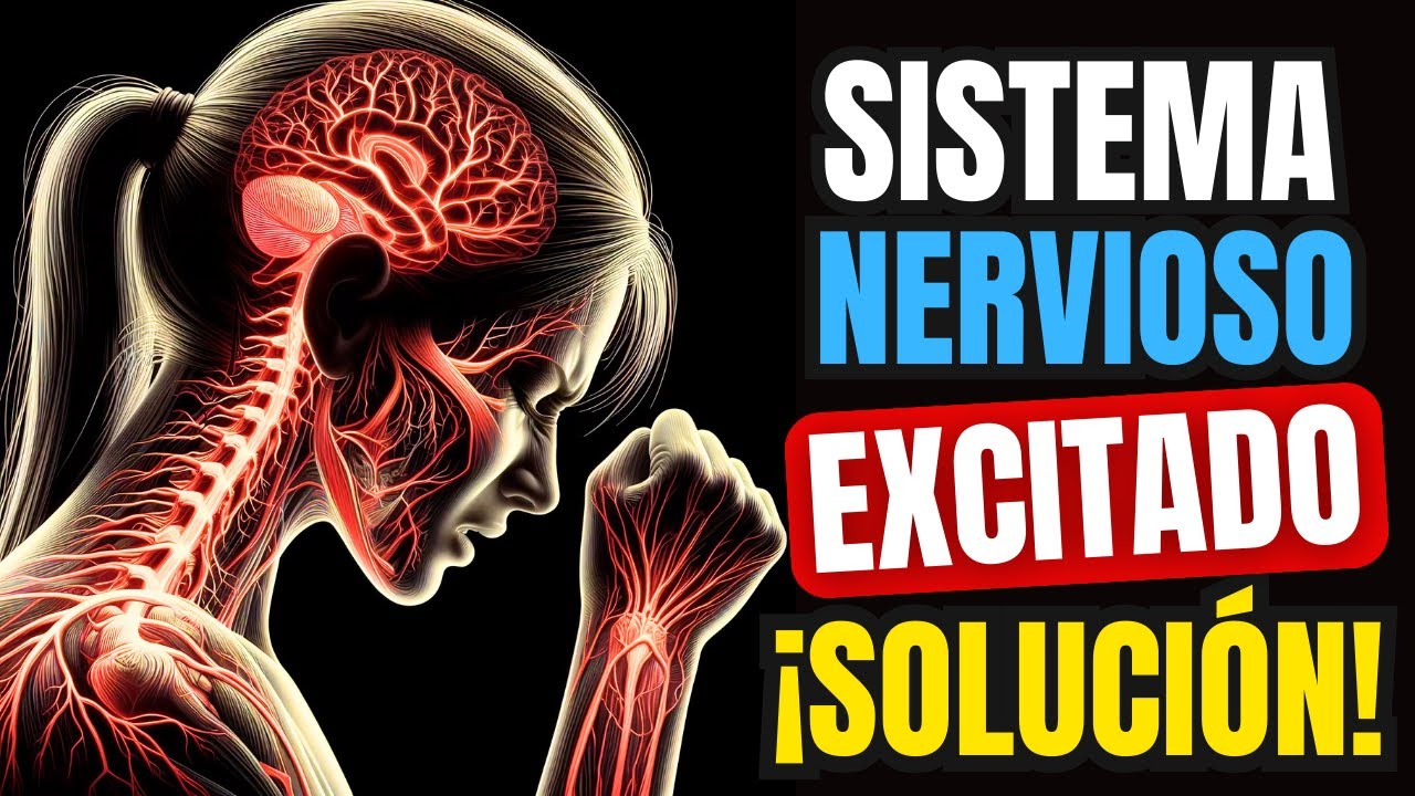 🧠 Sistema Nervioso Excitado: Qué Es, Qué Características Tiene ...