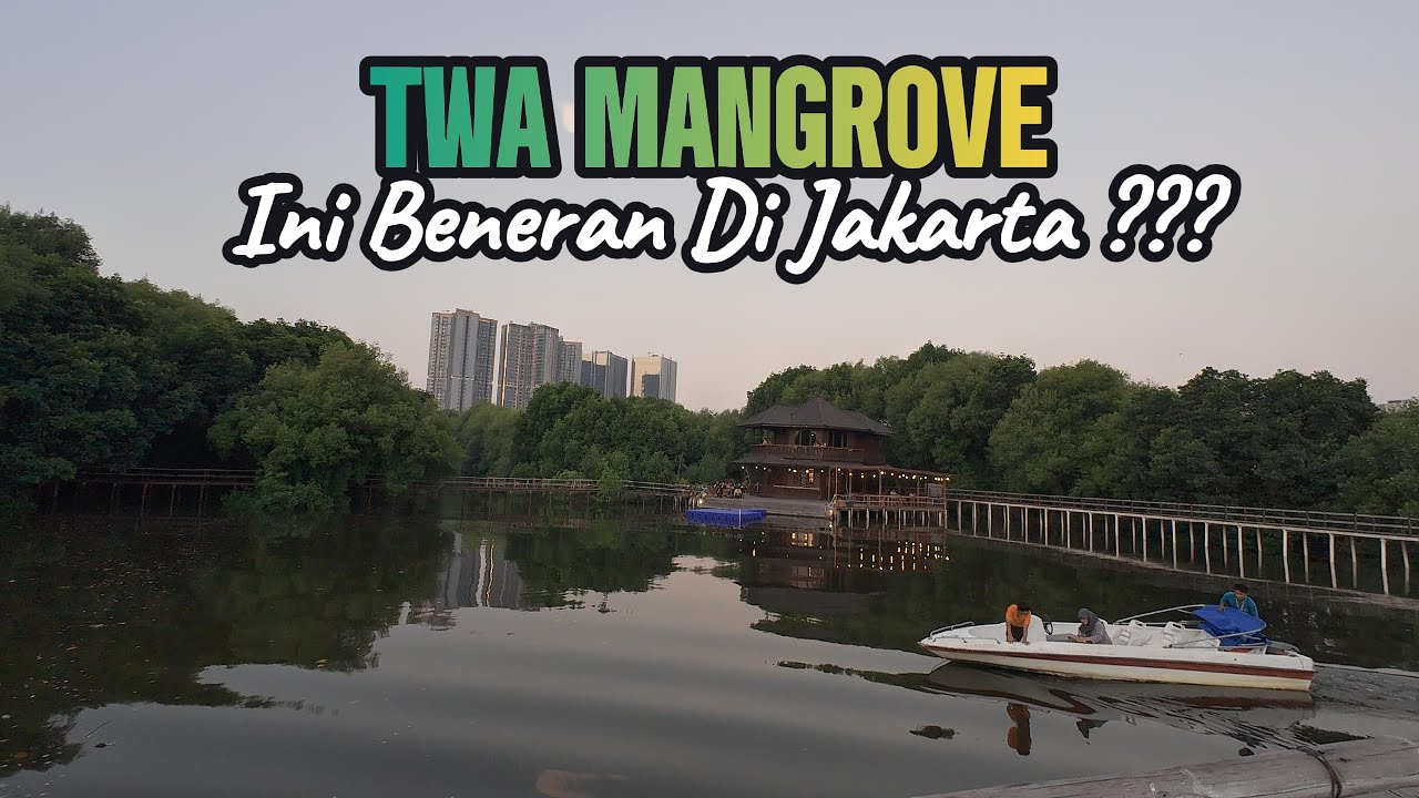 JALAN - JALAN SORE KE TWA MANGROVE ANGKE KAPUK - PIK JAKARTA - YouTube