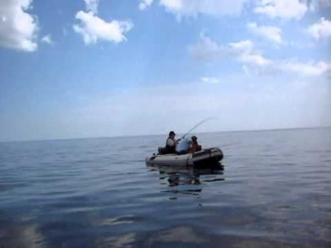 Safrid.wmv - YouTube