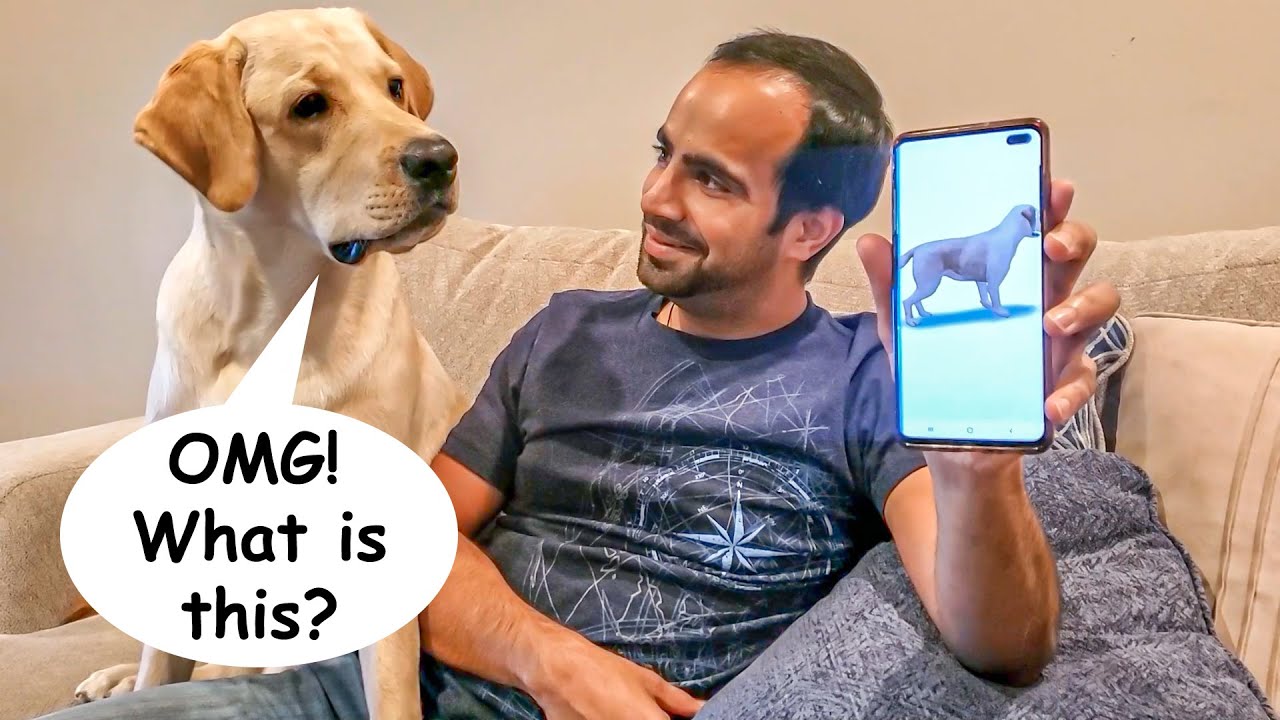 My Dog Reacts to "OK Google" and "Bixby" | He Doesn't Like It | Funny ...