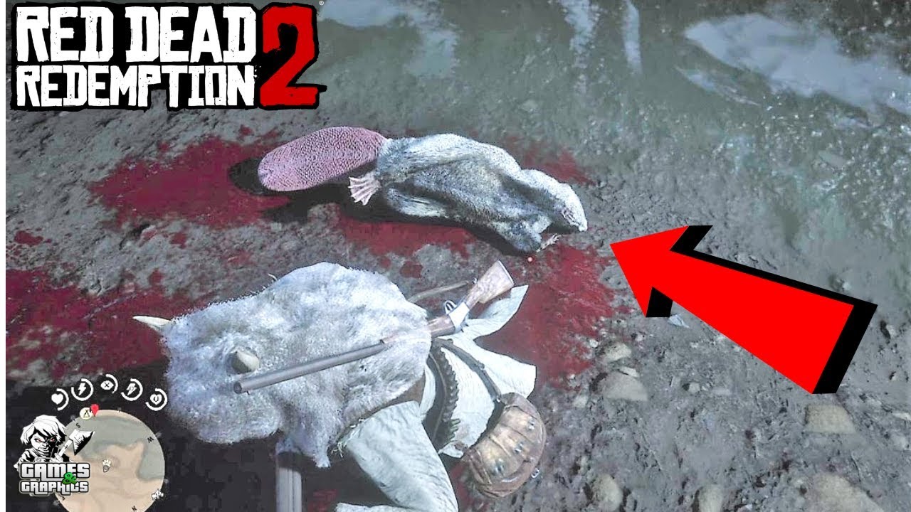Legendary Animal "Beaver" Location (RDR2) Red Dead Redemption 2 - YouTube
